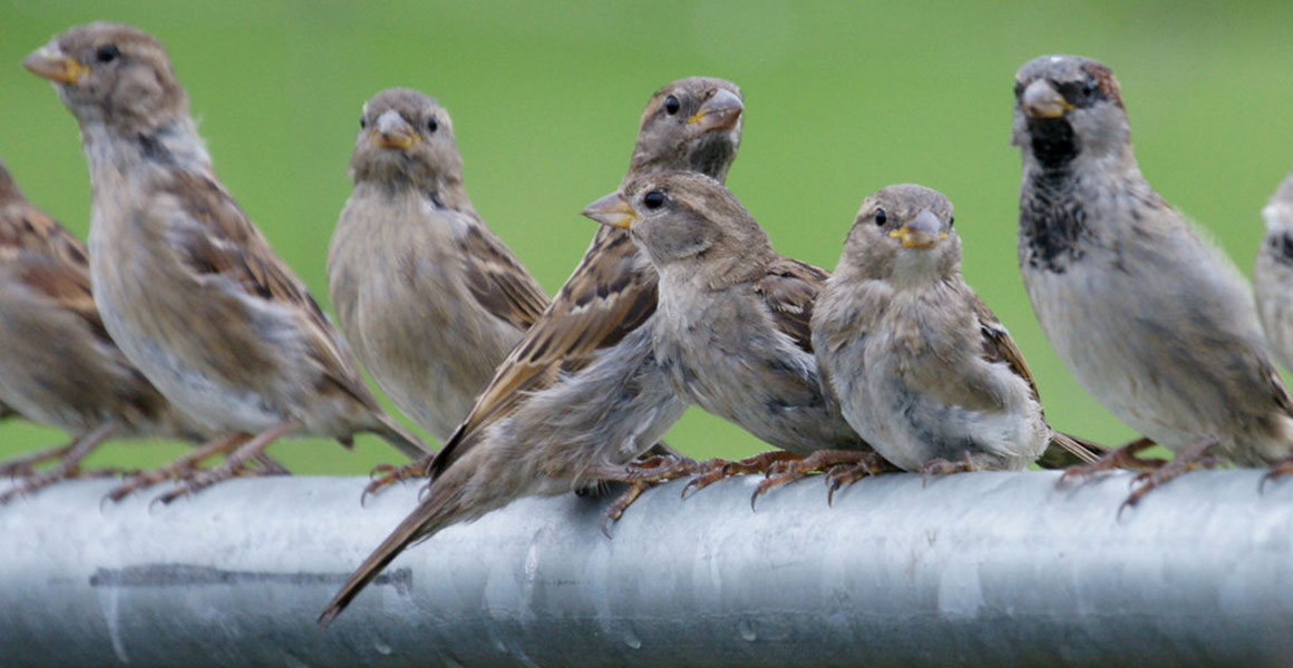 The Loving Care of God – Matthew Erickson