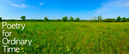 Kwame Dawes, “Peach Picking” [Poetry for Ordinary Time] – Matthew Erickson