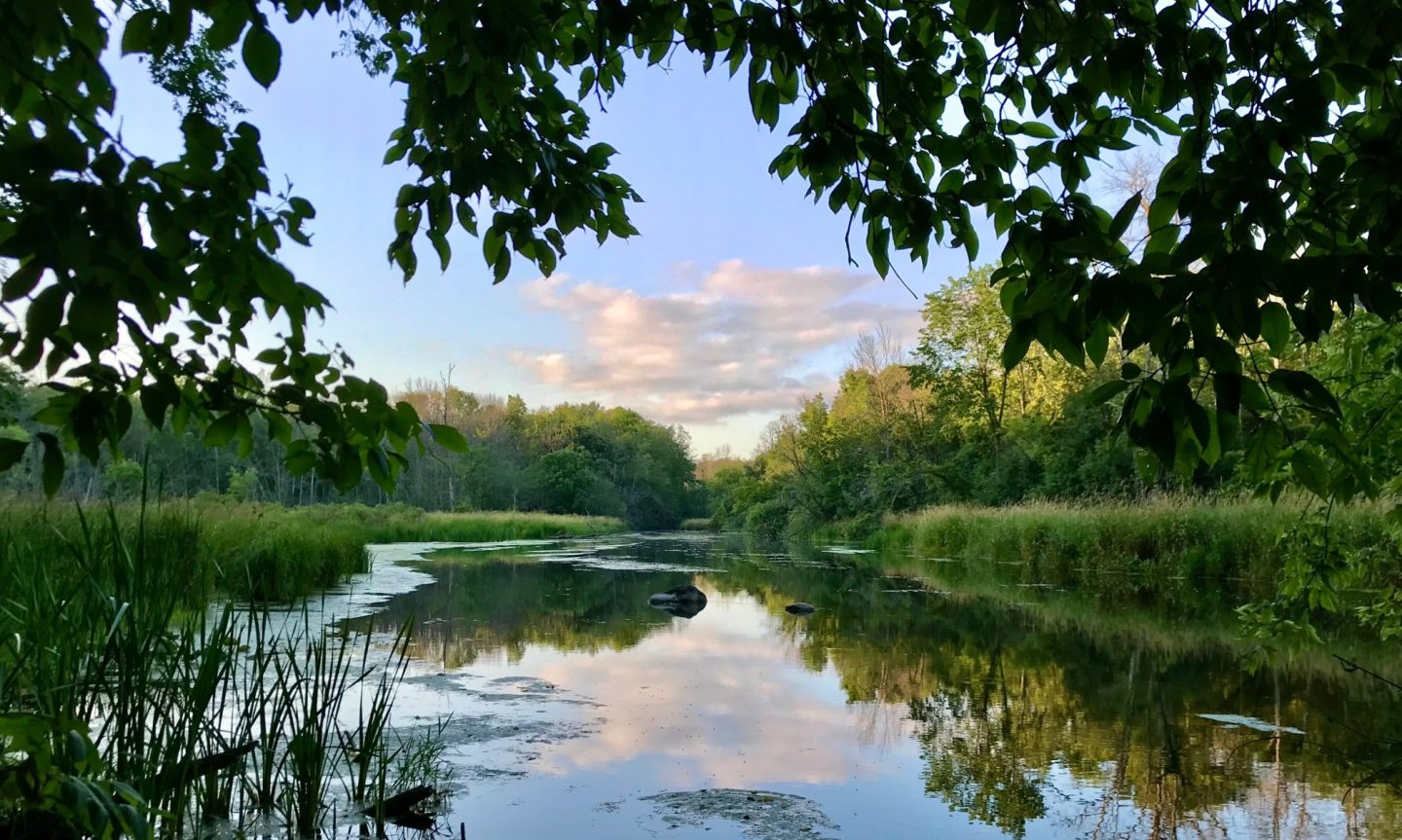 Five Ways Nehemiah Dealt with Opposition – Matthew Erickson